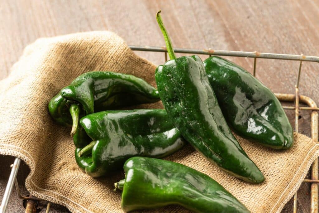 Ultimate Guide To Guajillo Peppers: From Scoville To Salsa
